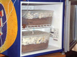 Tortoise Hibernation - Our how to guide for safe hibernation - Rochford ...