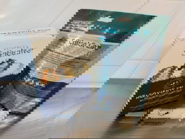 Syringe Feeding - Important nutrition for sick rabbits - Rochford Vets